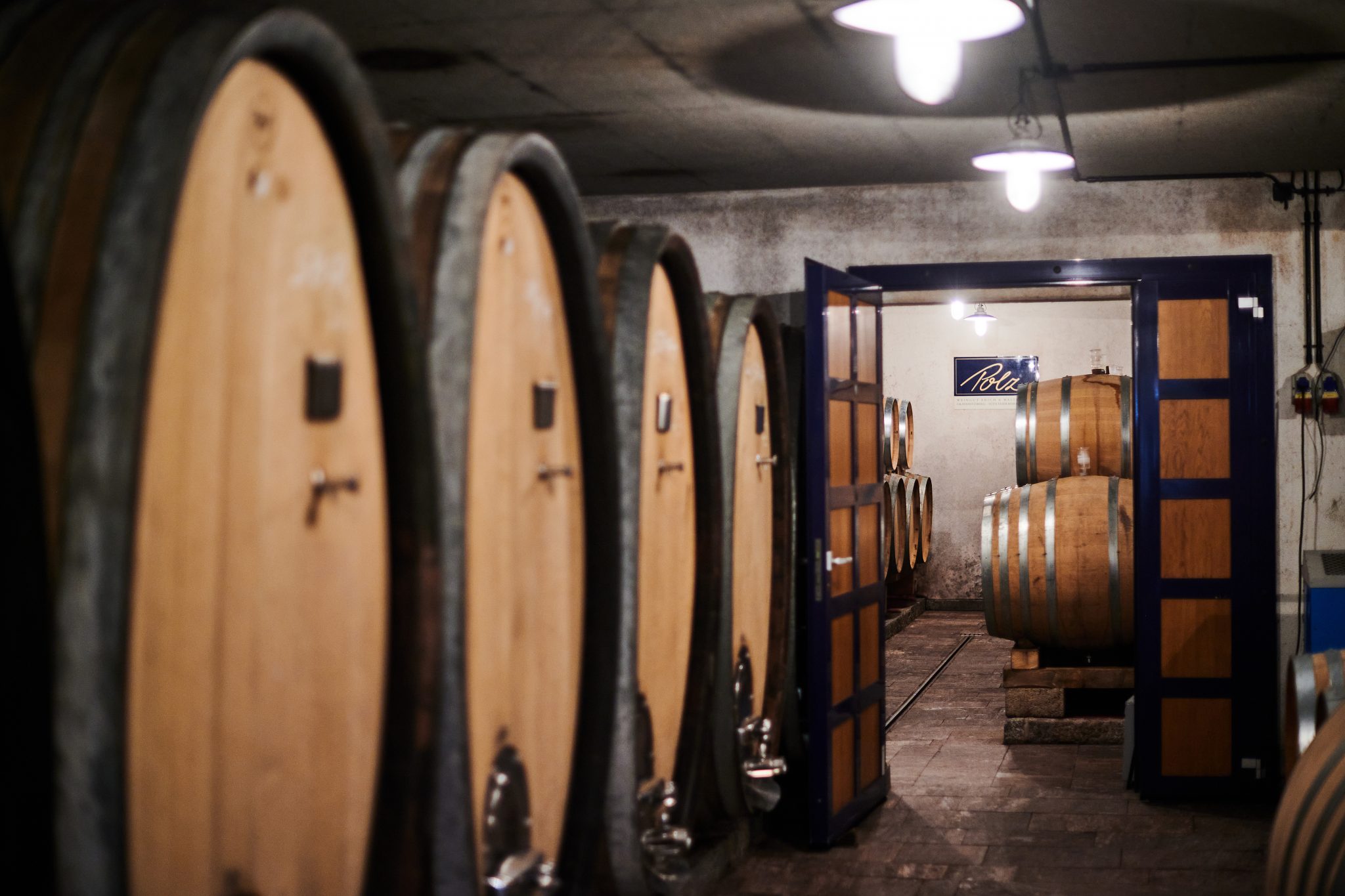 BEWEGTE ZEITEN BEIM WEINGUT POLZ - Home